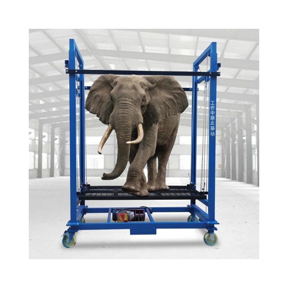 Schela cu motor, schela ridicare 6m 500kg, schela metalica cu motor ...